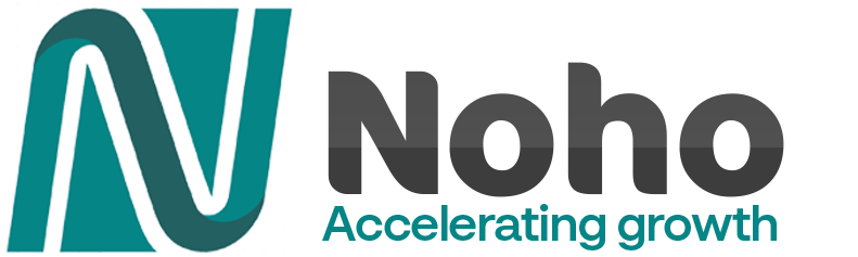 Noho – Business Consulting Company